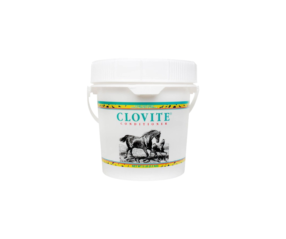 Clovite Conditioner, 5 lb | Timber & Shore Dog Supply