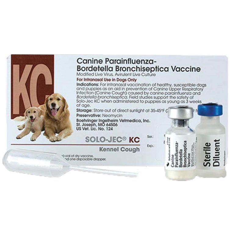 Kennel Cough Dropper | Timber & Shore Dog Supply